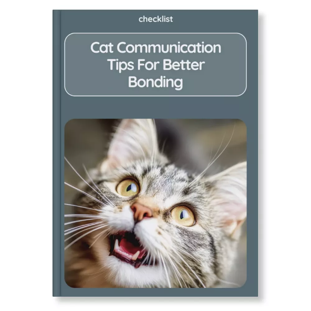 Cat Communication Tips for Better Bonding | Printable Cat Behavior ...