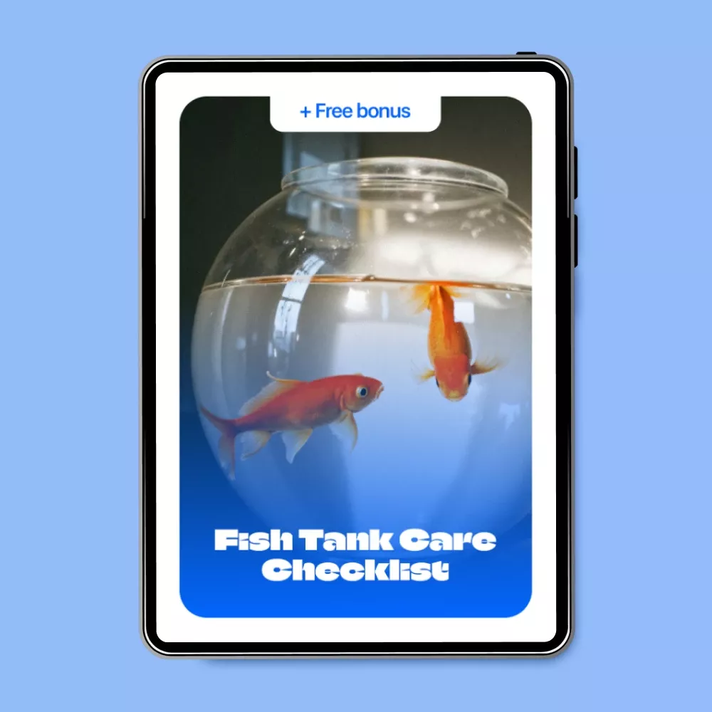 Fish Tank Care Checklist – Aquarium Maintenance Guide for Freshwater ...